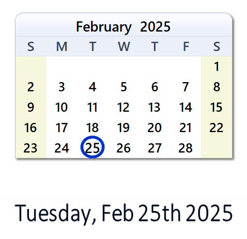 February 25, 2025: History, News, Top X Posts & Day Info
